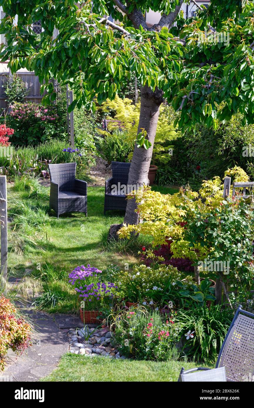 Suburban gardening hi-res stock photography and images - Alamy