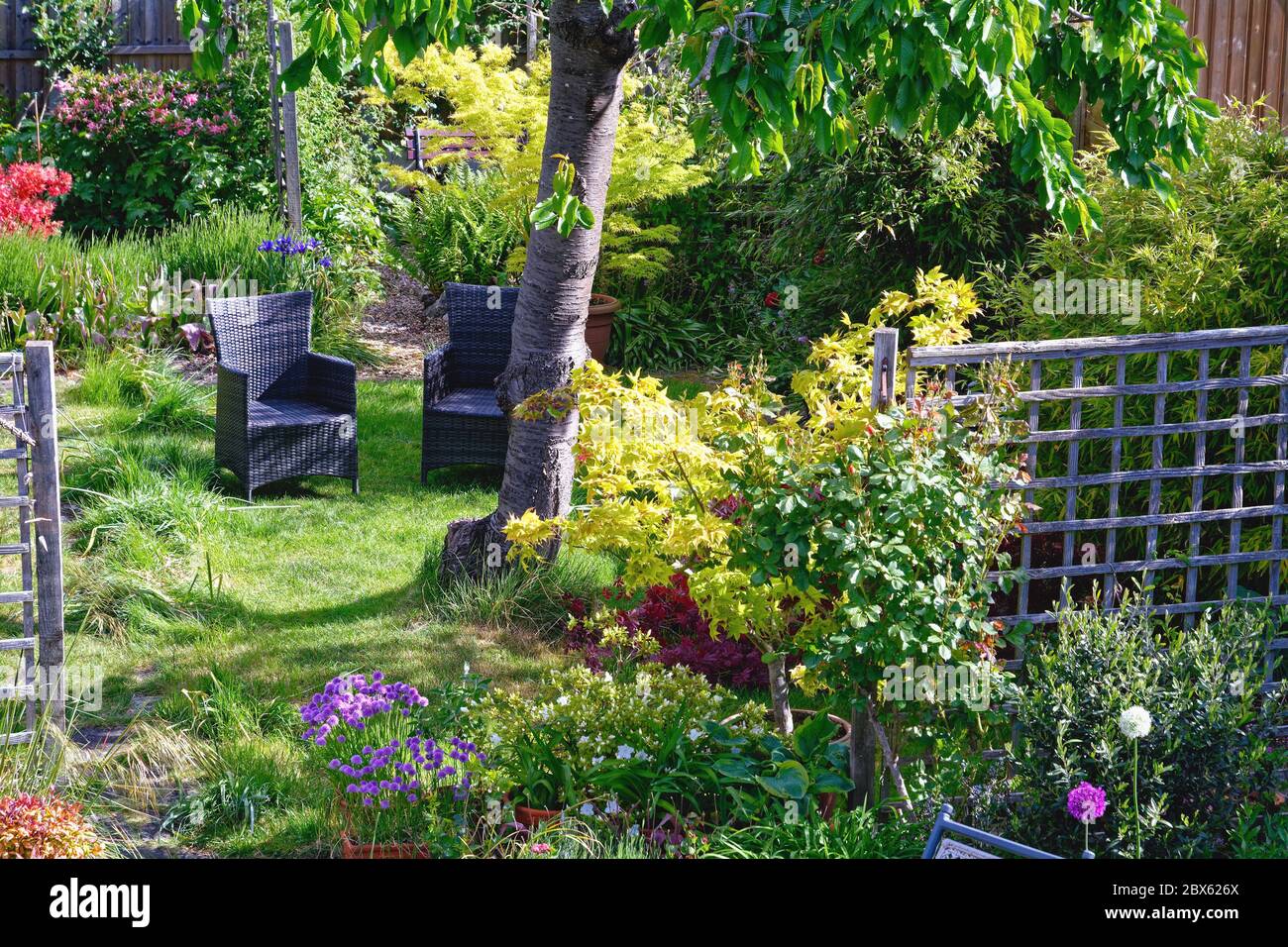 Suburban back garden hi-res stock photography and images - Alamy