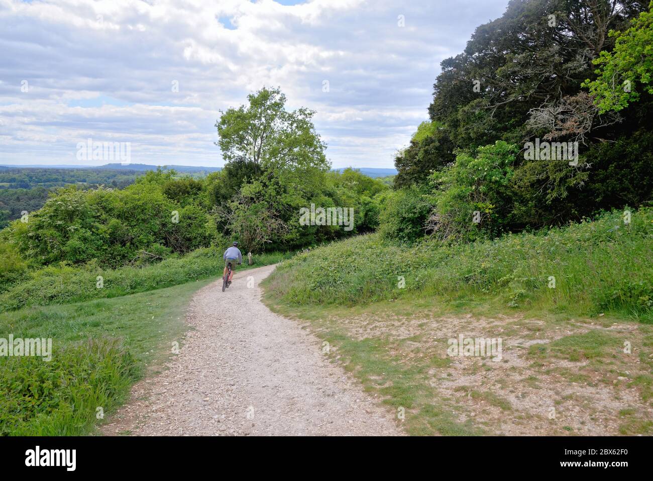 A rear view of a male riding a bike on a footpath at Newlands Corner ...