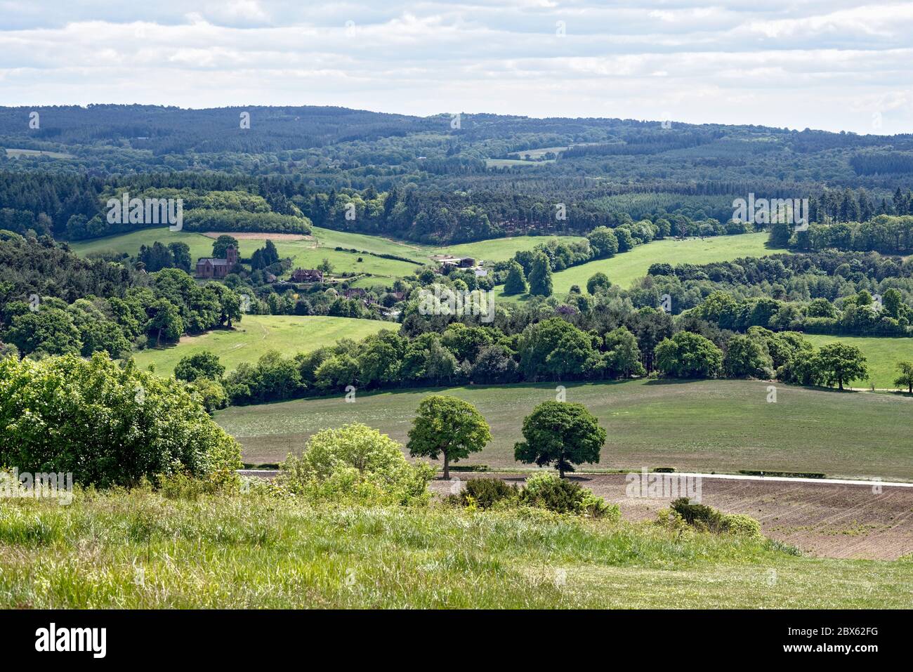 Albury village surrey uk hi-res stock photography and images - Alamy