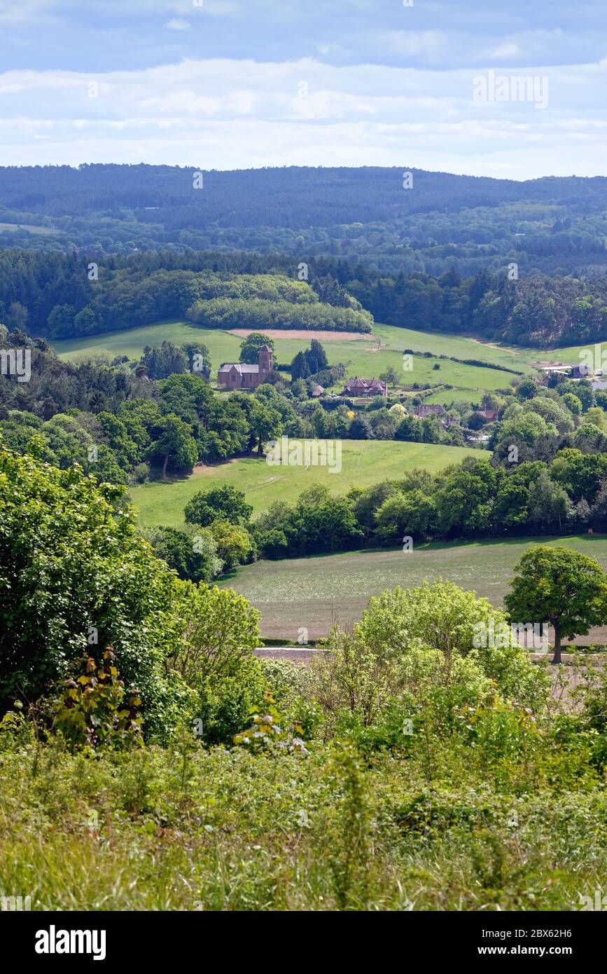 The view from Newlands Corner near Guildford looking towards Albury ...