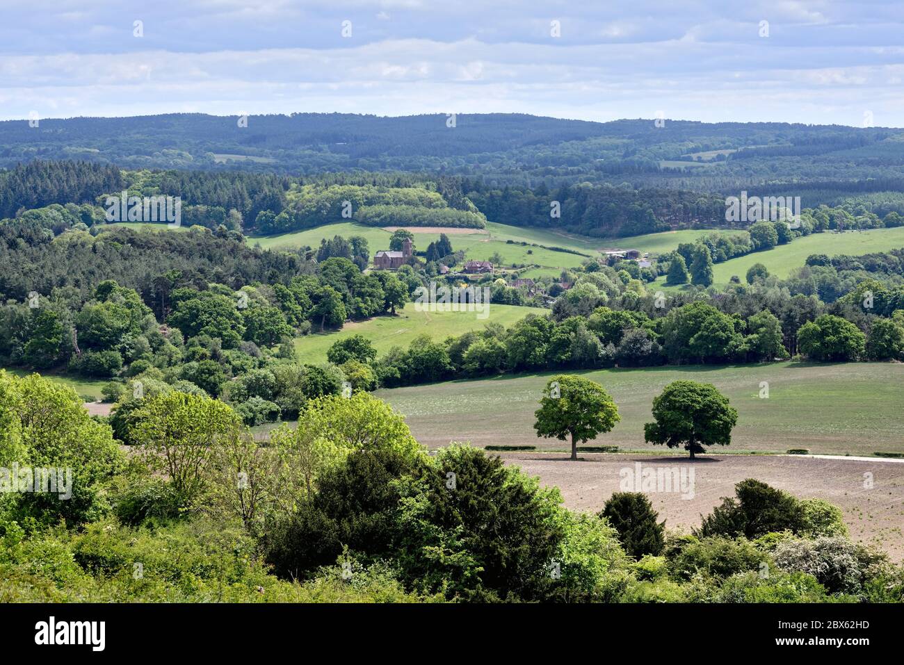 The view from Newlands Corner near Guildford looking towards Albury ...