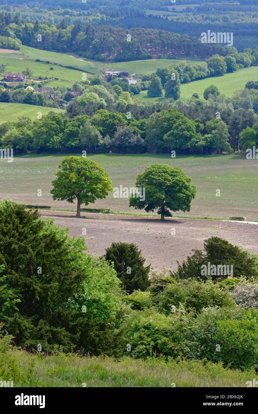 The view from Newlands Corner near Guildford looking towards Albury ...