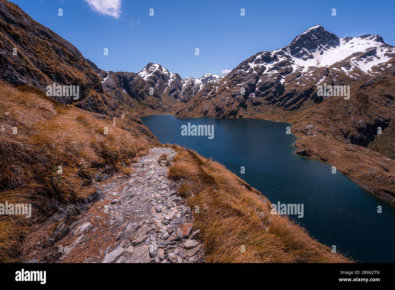 Routeburn Track, Fiordland National Park, New Zealand Stock Photo - Alamy
