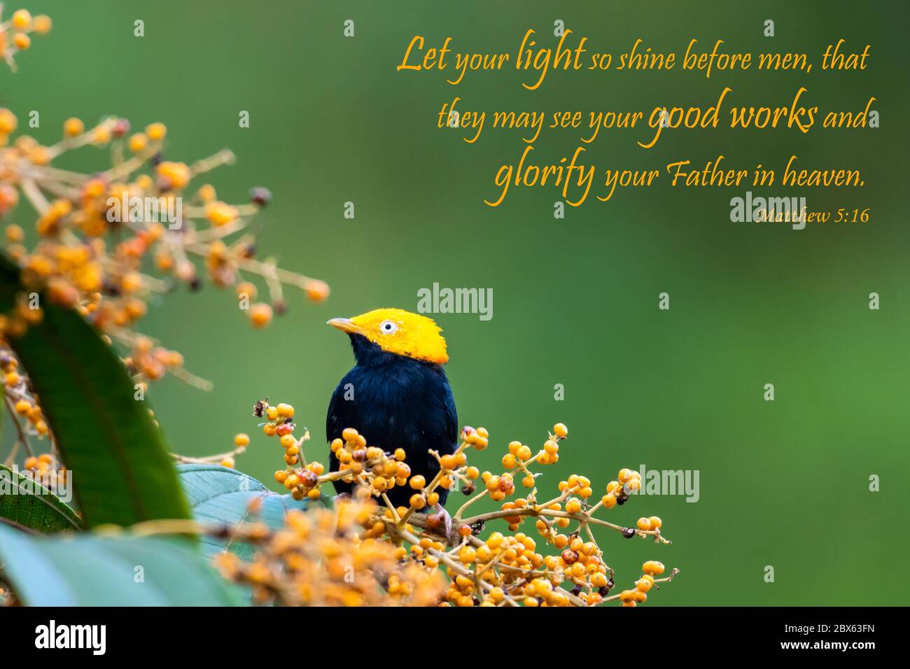 Inspirational, encouraging and uplifting Bible Verses printed on ...