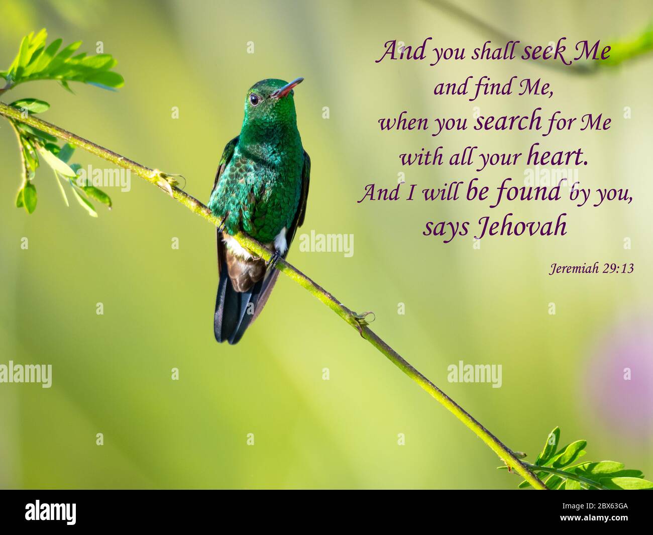 Inspirational, encouraging and uplifting Bible Verses printed on ...