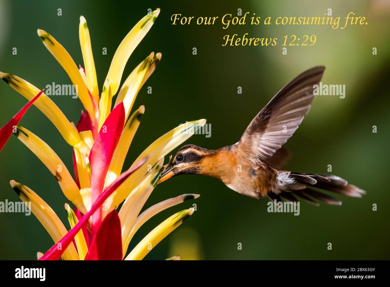 Inspirational, encouraging and uplifting Bible Verses printed on ...