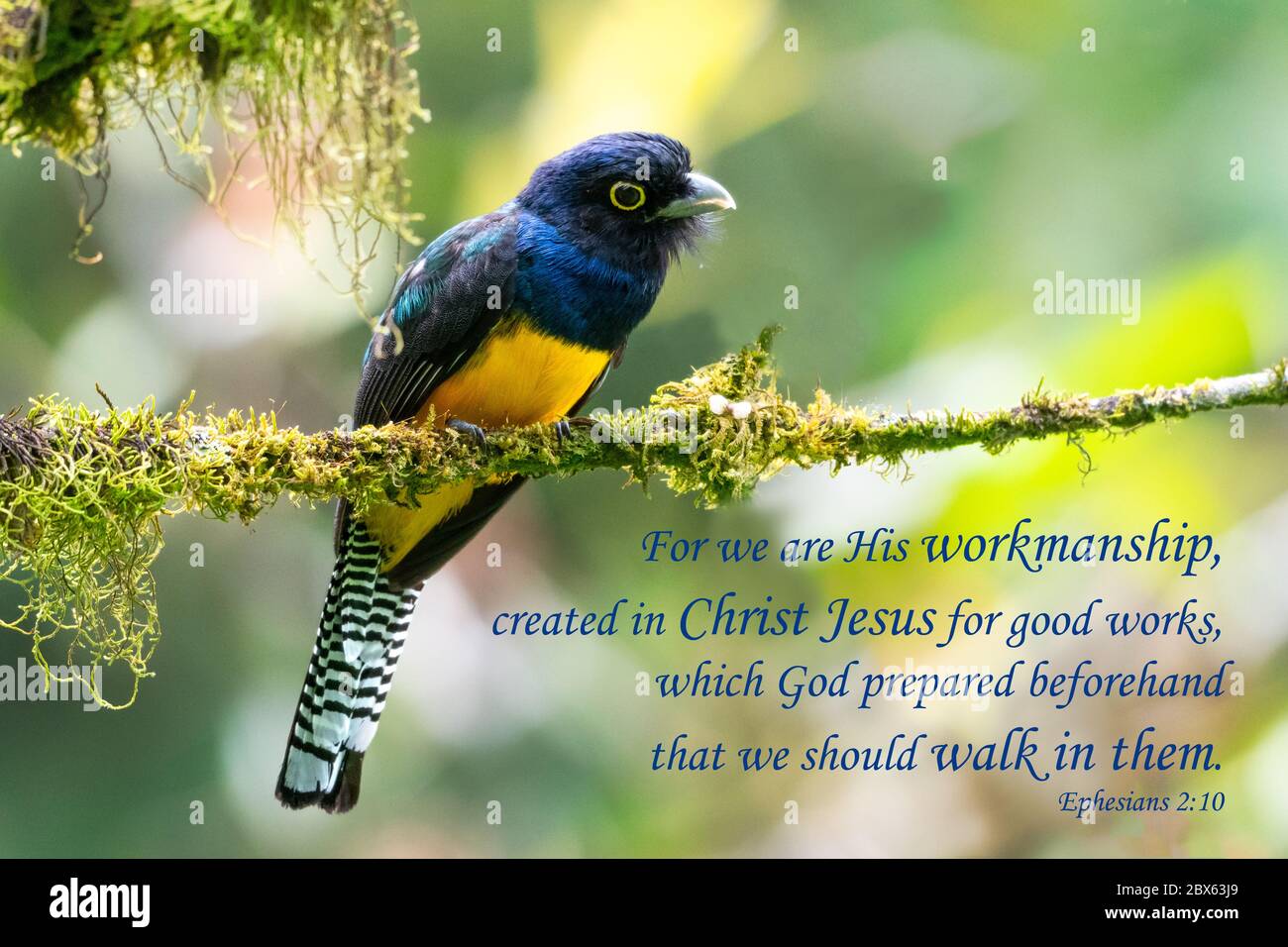 Inspirational, encouraging and uplifting Bible Verses printed on ...