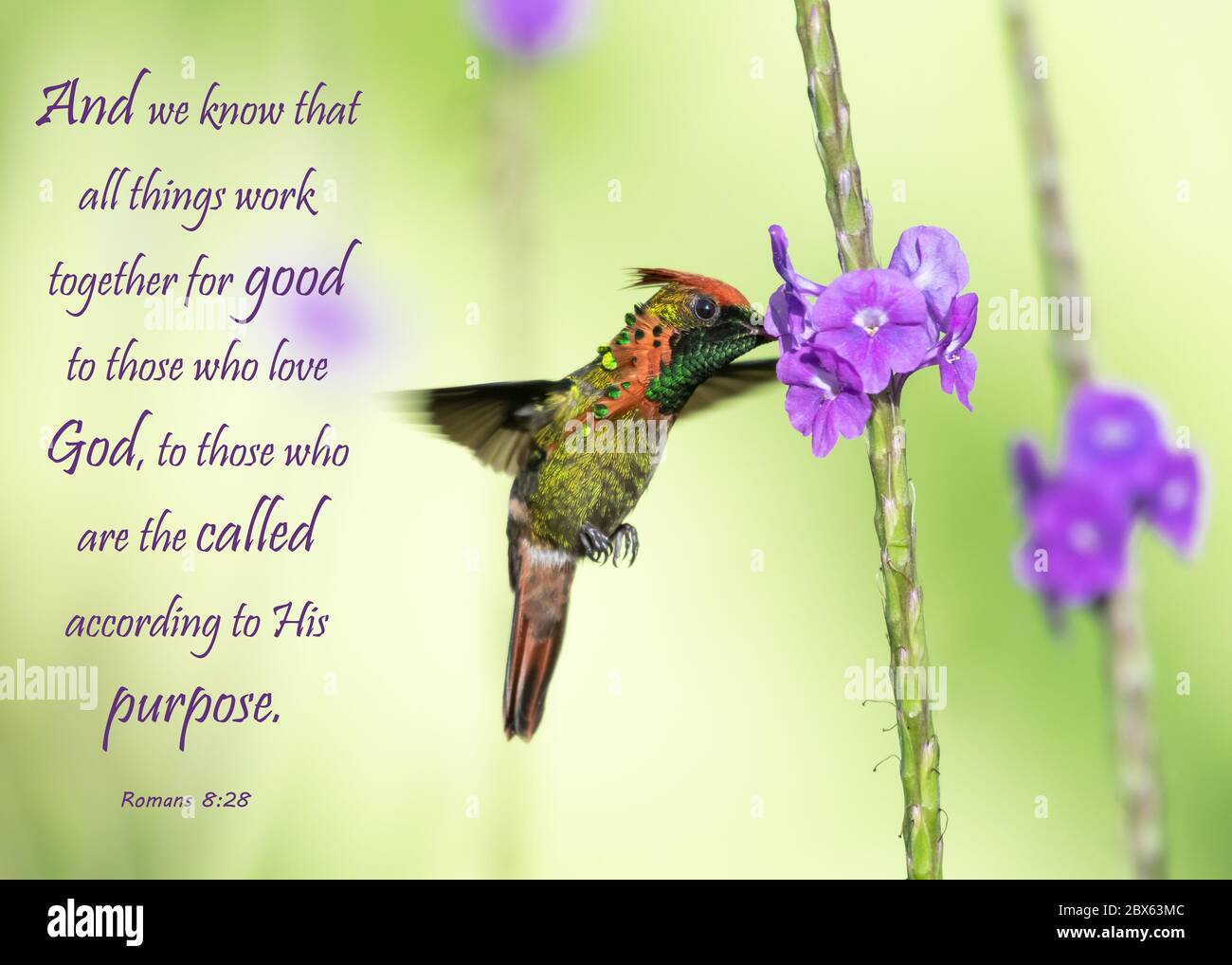 Inspirational, encouraging and uplifting Bible Verses printed on ...