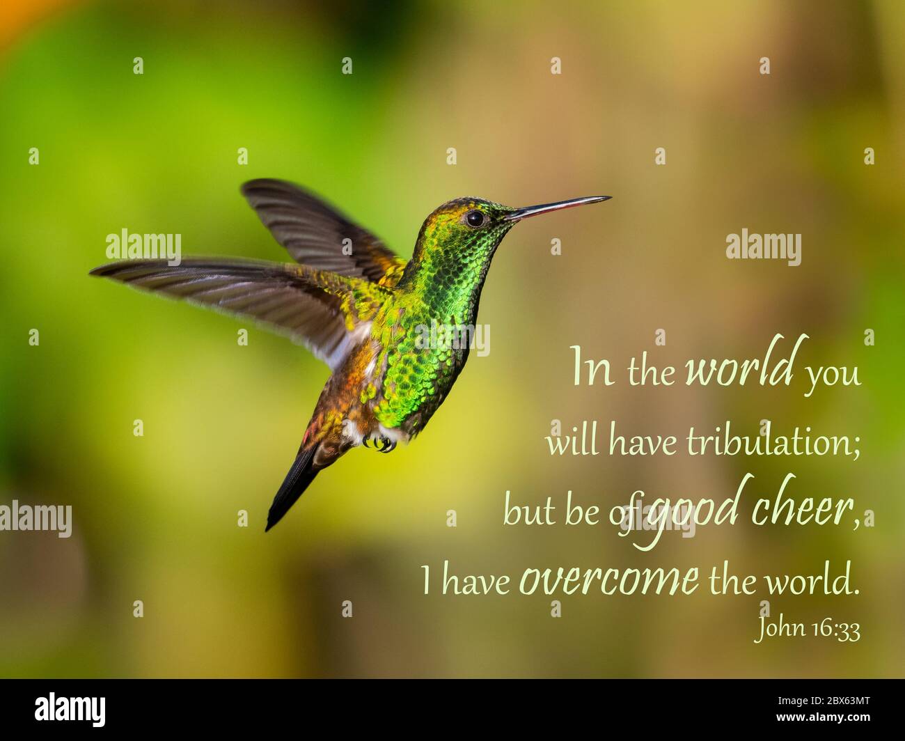 Christian inspirational hi-res stock photography and images - Alamy