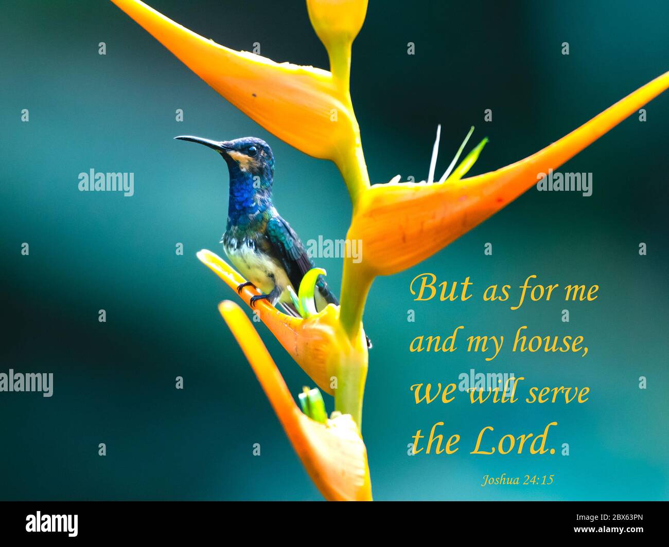 Beautiful Christian Pictures With Scriptures