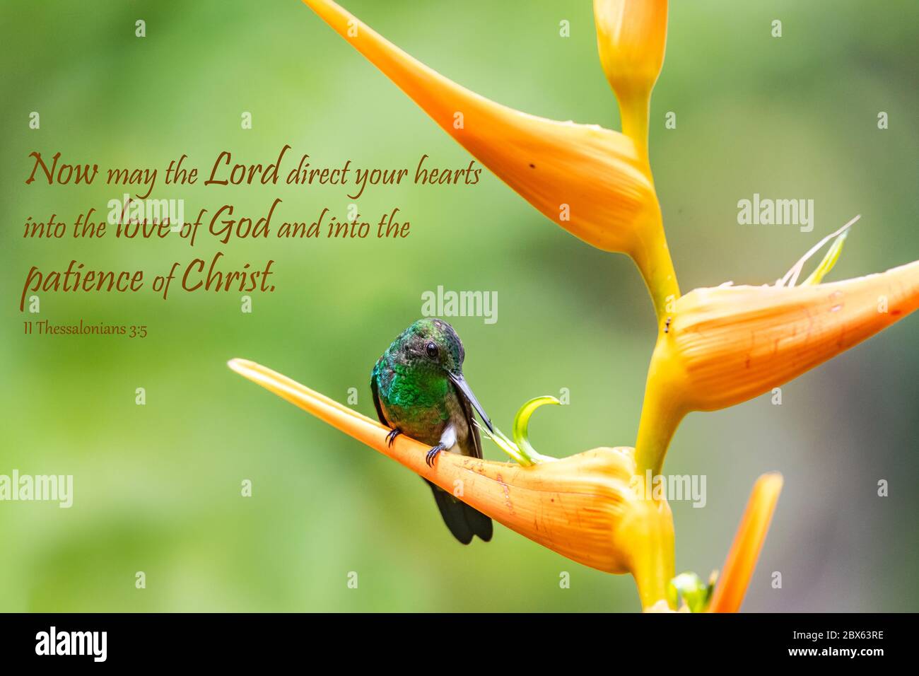 Inspirational, encouraging and uplifting Bible Verses printed on ...