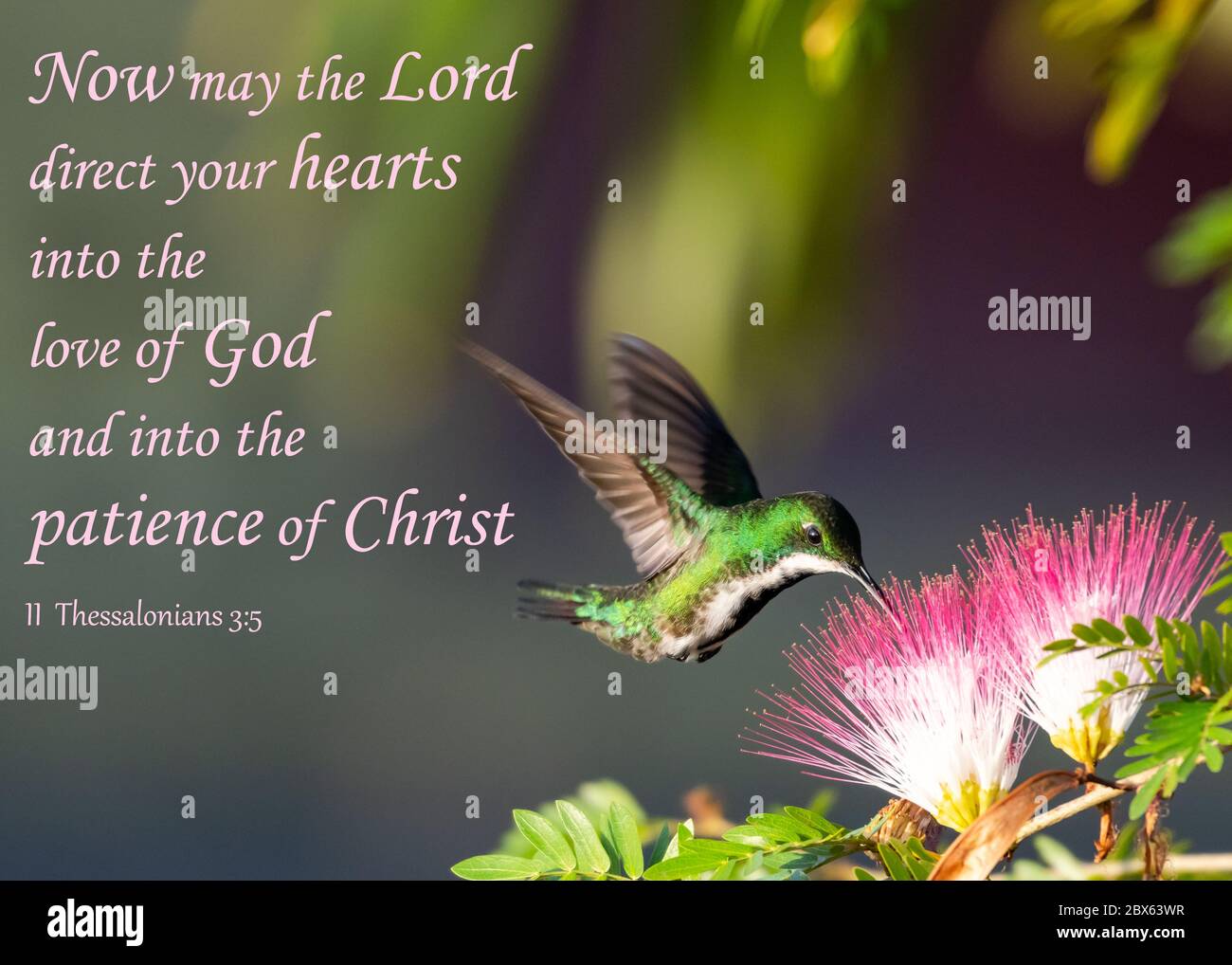 Inspirational, encouraging and uplifting Bible Verses printed on ...