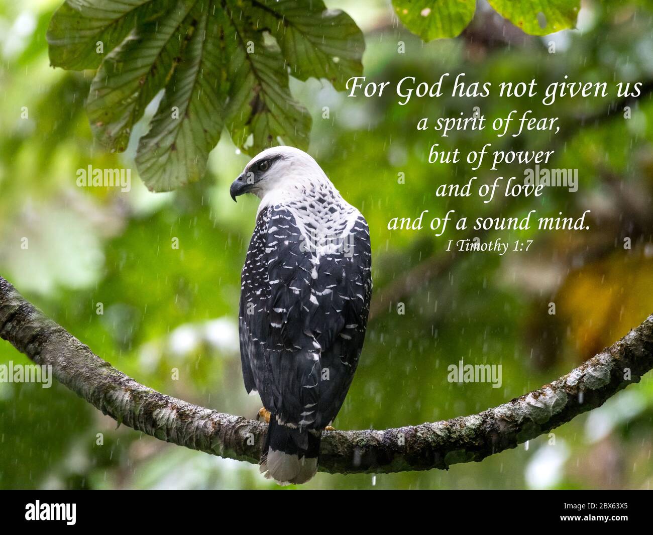 Inspirational, encouraging and uplifting Bible Verses printed on ...