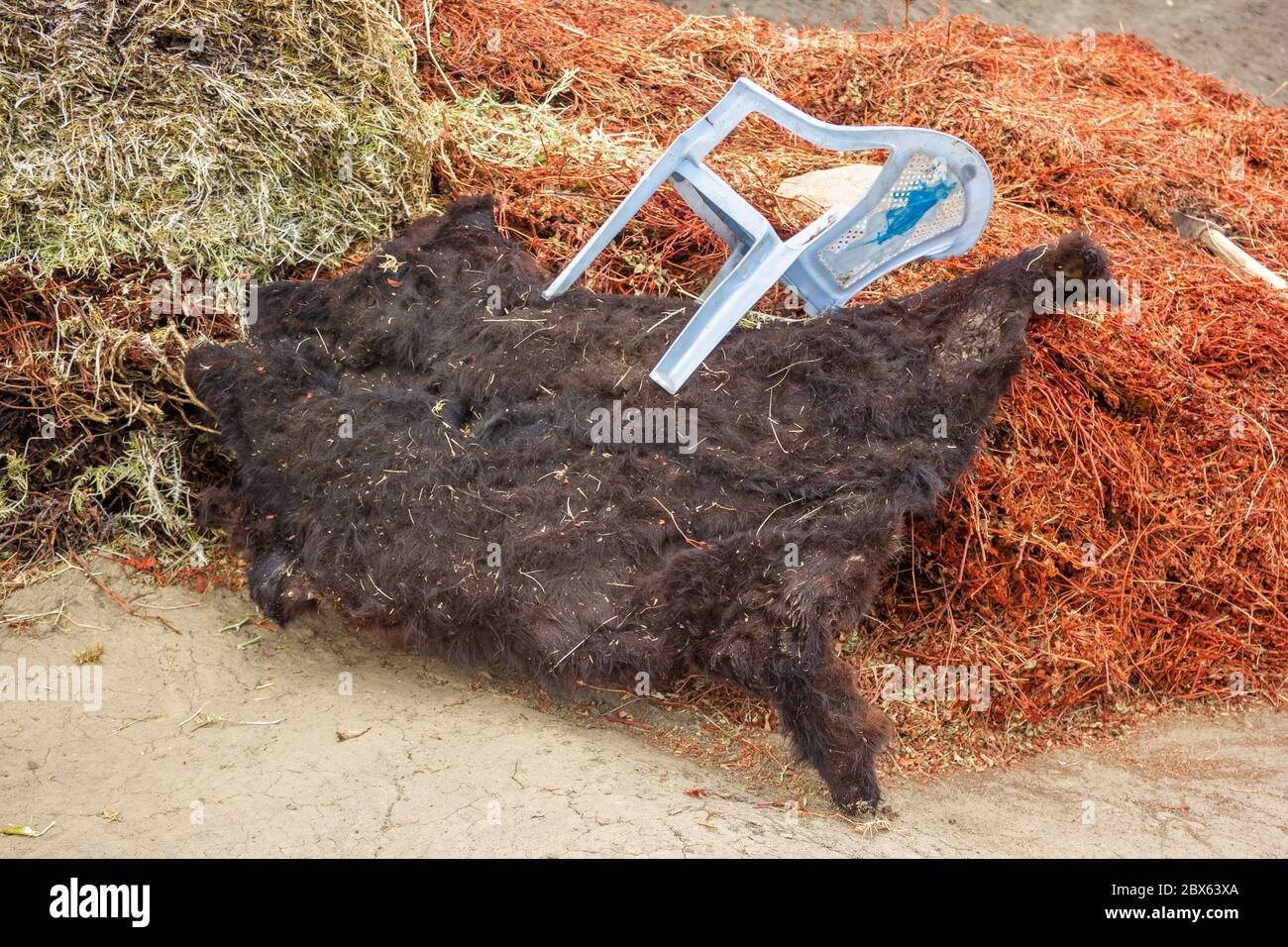 Himalayan hay stack hi-res stock photography and images - Alamy