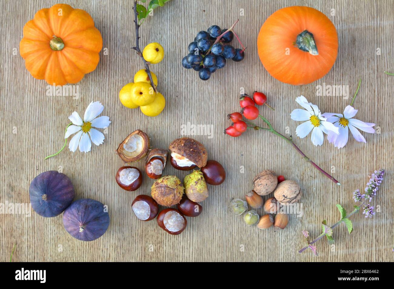 Autumn nature background with fruits and chestnuts on wooden texture ...