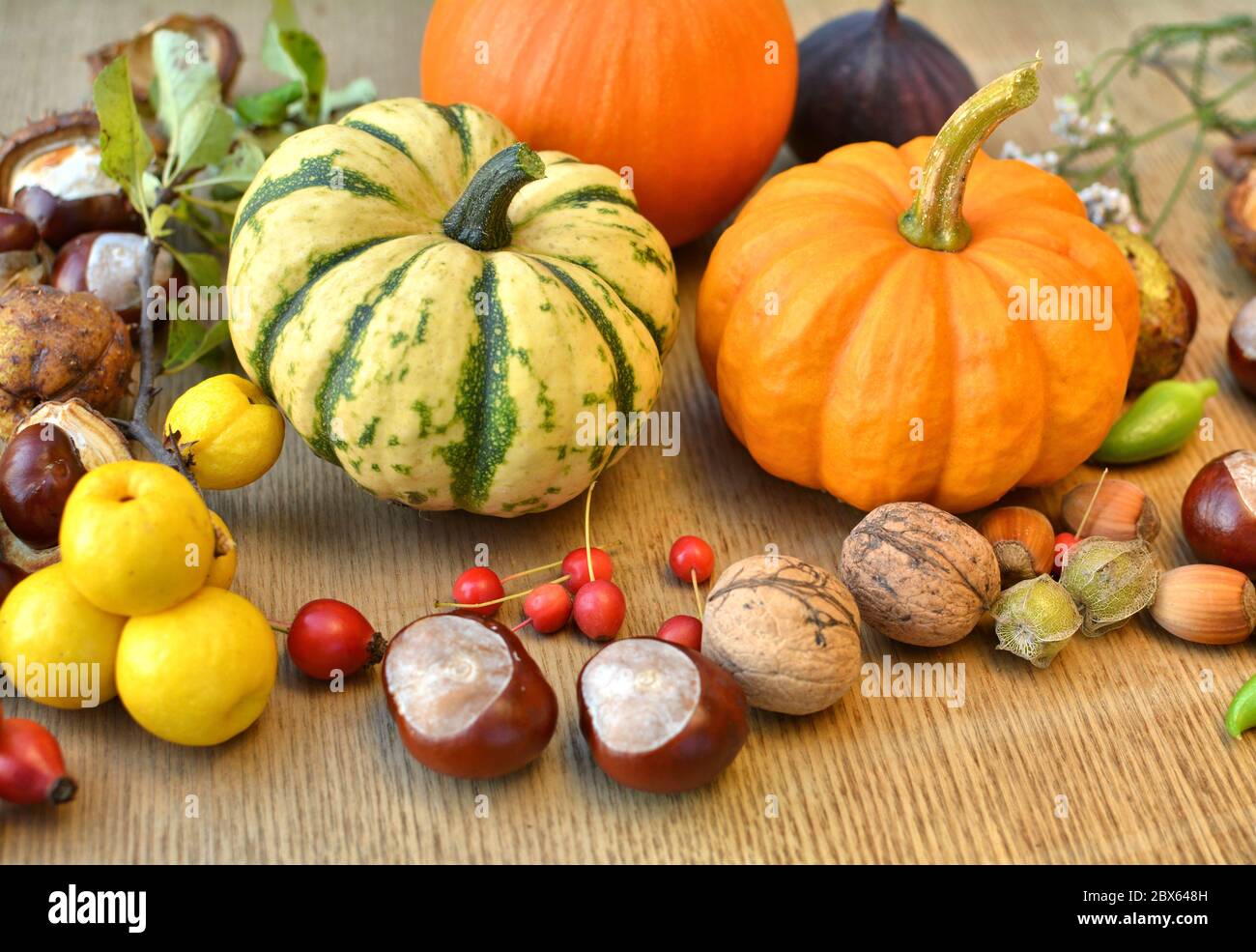 Wild pumpkins hi-res stock photography and images - Alamy