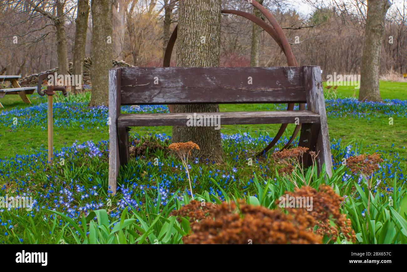 a bench and antique farm wheels leaning against a tree in early spring ...