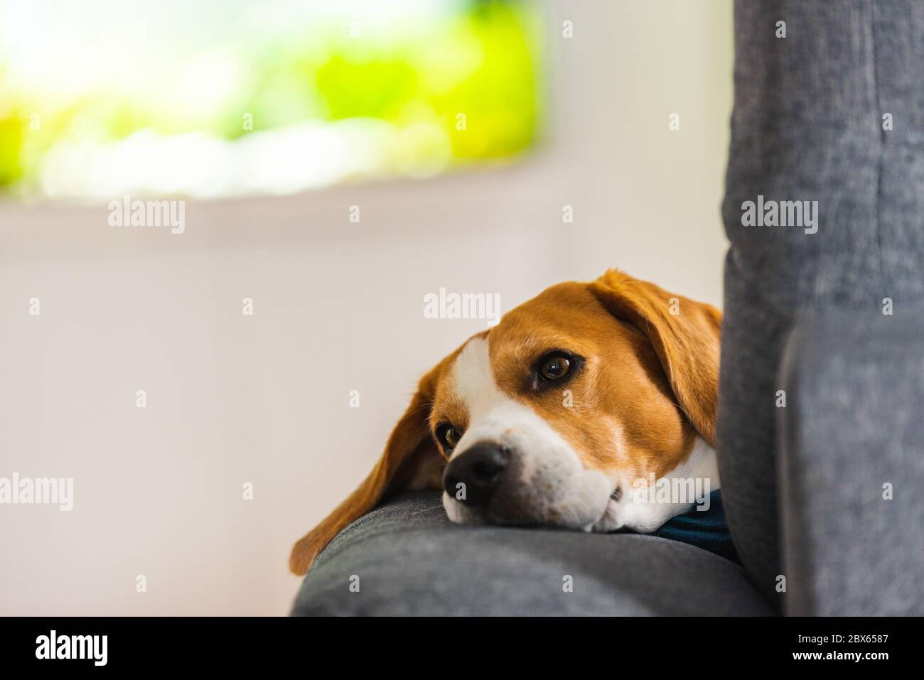 Cozy position hi-res stock photography and images - Alamy
