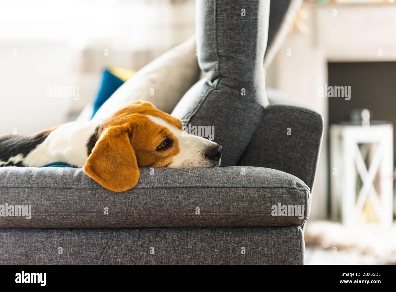 Cozy position hi-res stock photography and images - Alamy