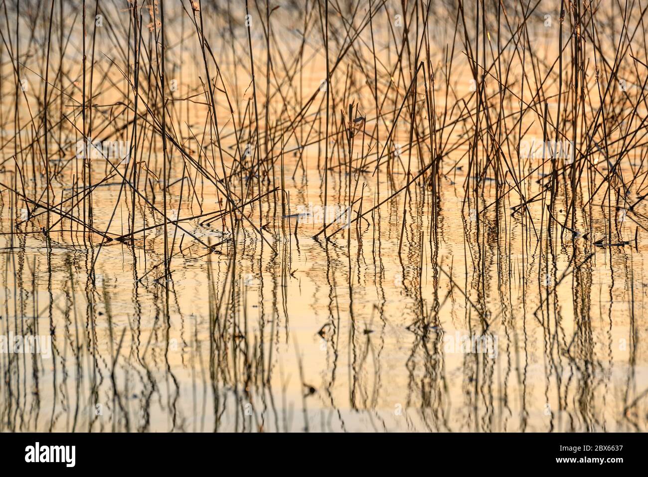 Thin landscape painting hi-res stock photography and images - Alamy