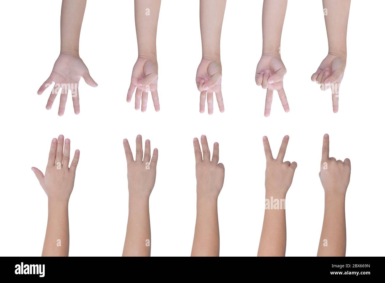 Children hand showing one to five fingers count Isolated on white background, with clipping path ...