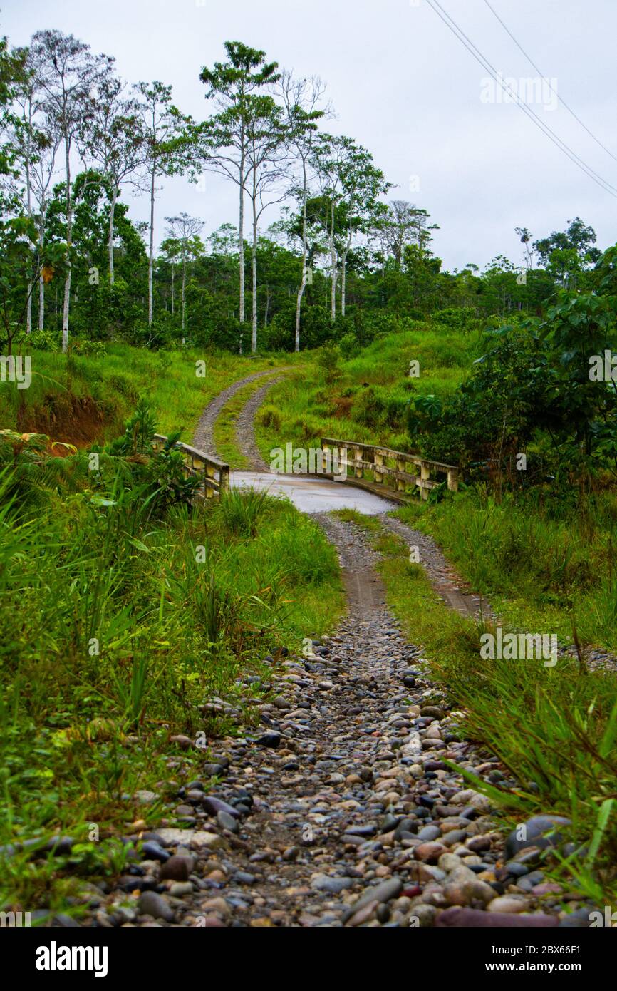 Middle road ecuador hi-res stock photography and images - Alamy