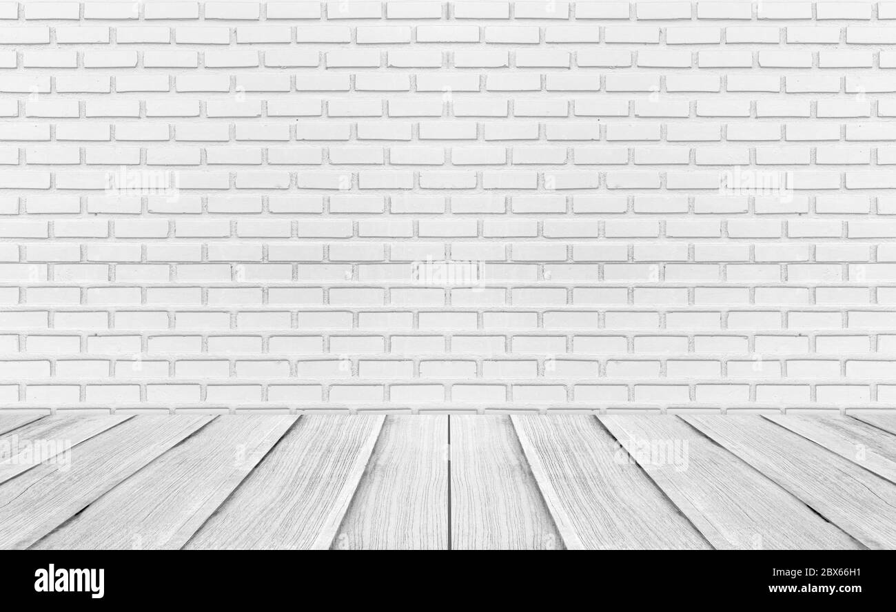 White Wall Background Studio