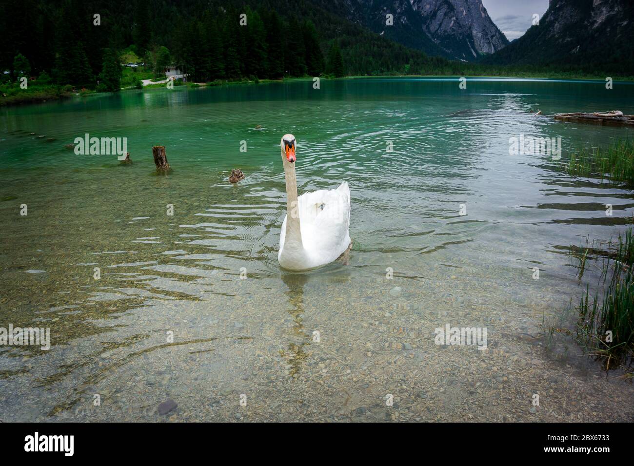 Toblacher See and view of the Drei Zinnen from Toblach in South Tyrol ...