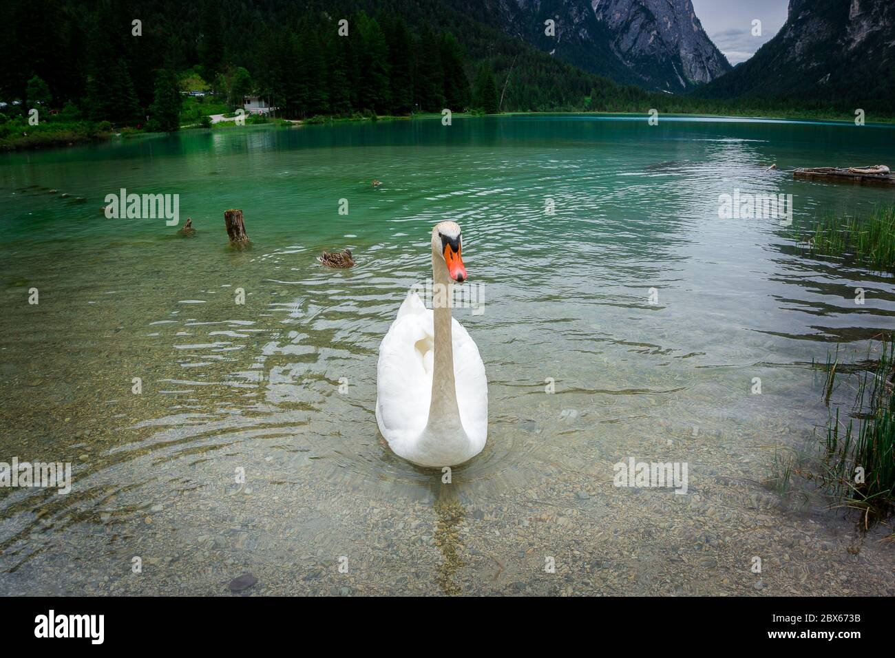Toblacher See and view of the Drei Zinnen from Toblach in South Tyrol ...