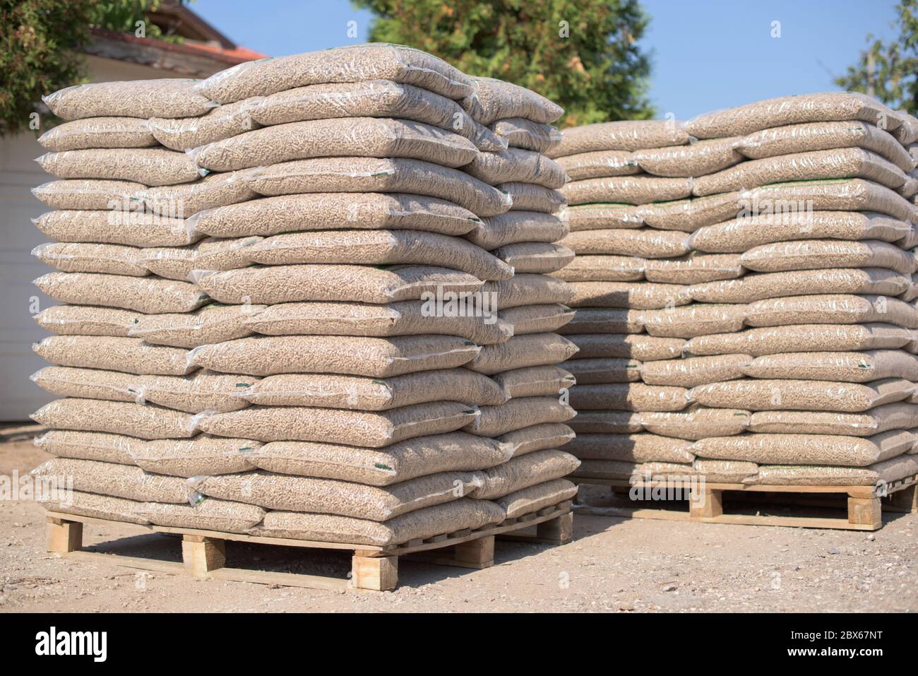 Many sacks that are filled with pellets placed on pallets Stock Photo ...