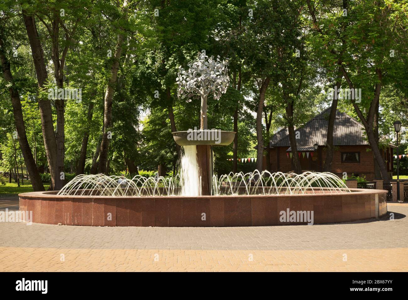 Linden fountain tree hi-res stock photography and images - Alamy