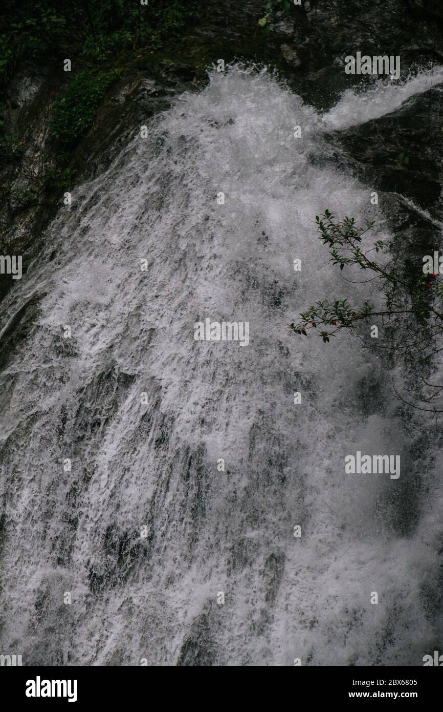 pure water source, waterfall in the middle of the jungle, amazon Stock ...