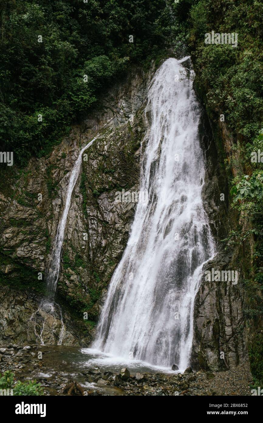 pure water source, waterfall in the middle of the jungle, amazon Stock ...