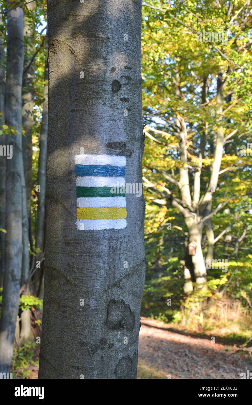 Mountain trails painted signs on the tree Stock Photo - Alamy