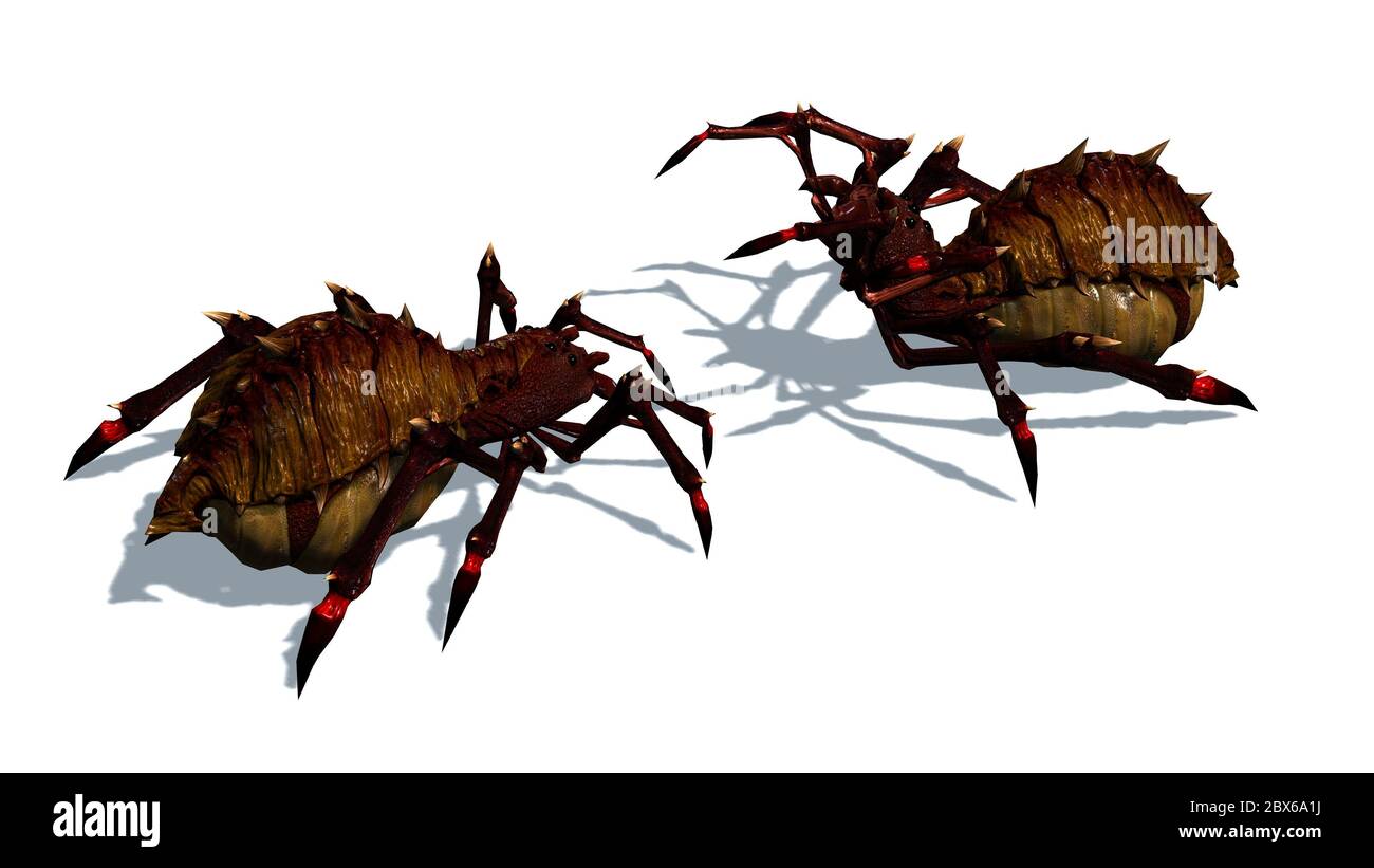 two fantasy spiders fight against each other - isolated on white ...