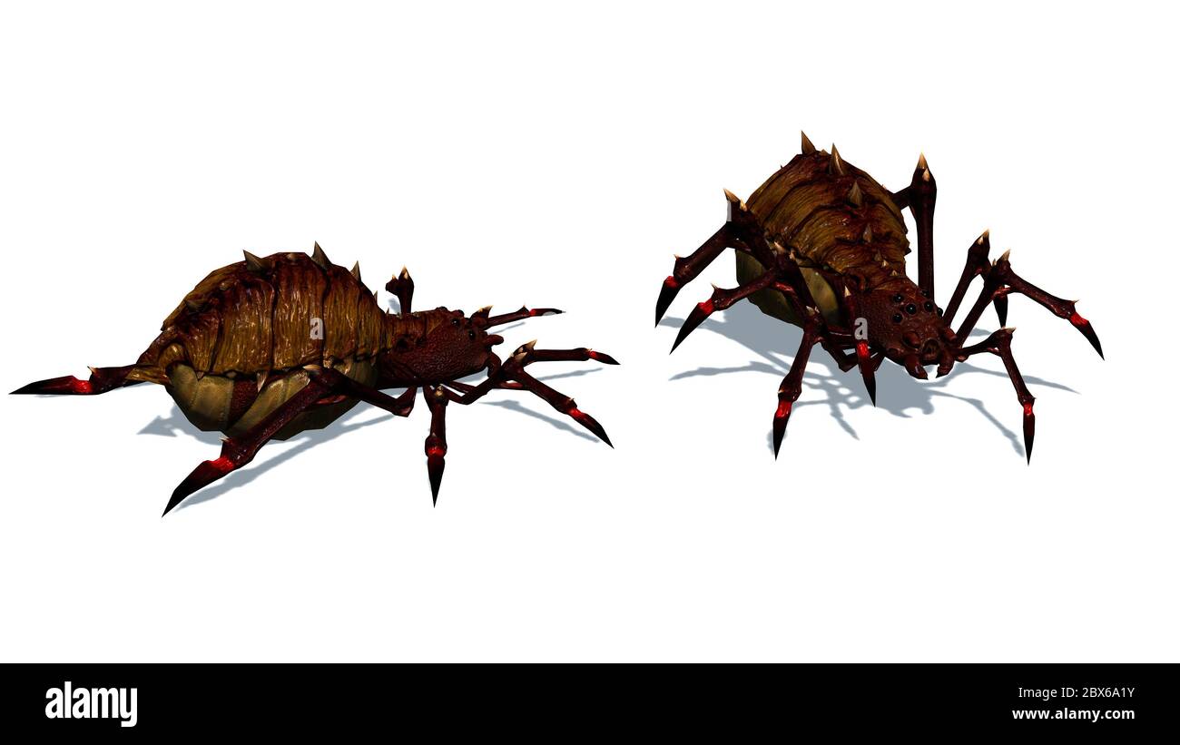 two fantasy spiders fight against each other - isolated on white ...