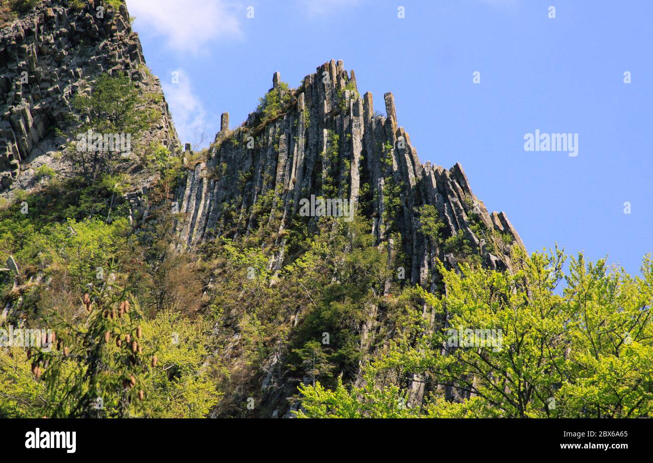 Basaltic columns emerging from forest, at Detunata, in Transylvania ...
