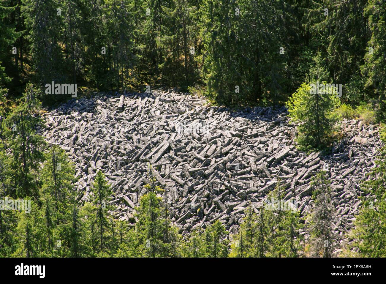 Basaltic columns shredded in the forest, at Detunata, seen from above ...