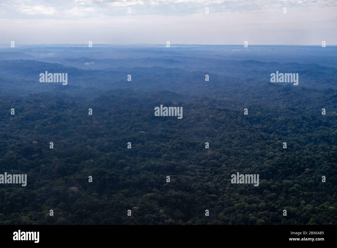 Amazon rainforest tree tops hi-res stock photography and images - Alamy