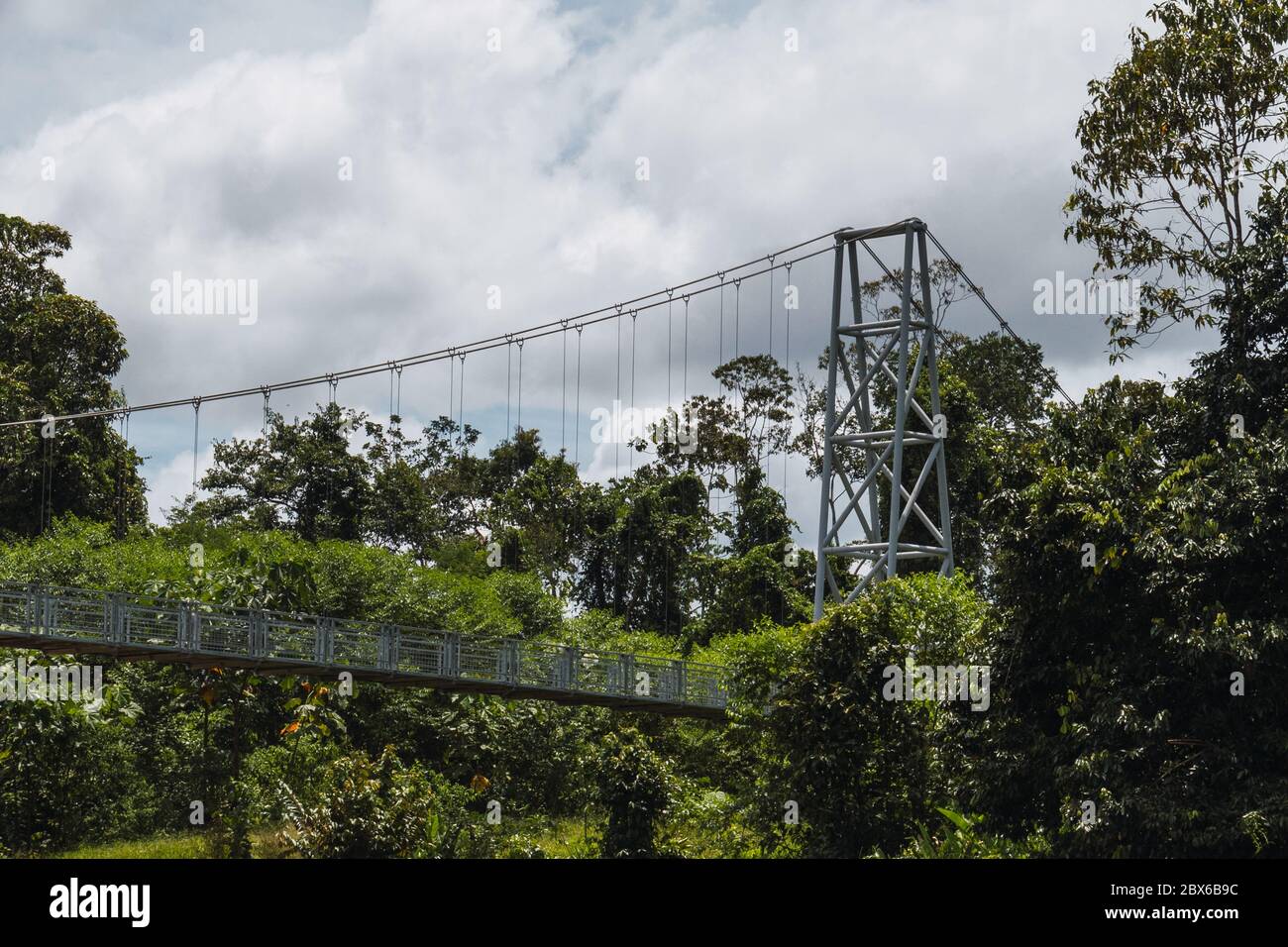 bridge over the river in the amazon, metal structure, large bridges ...