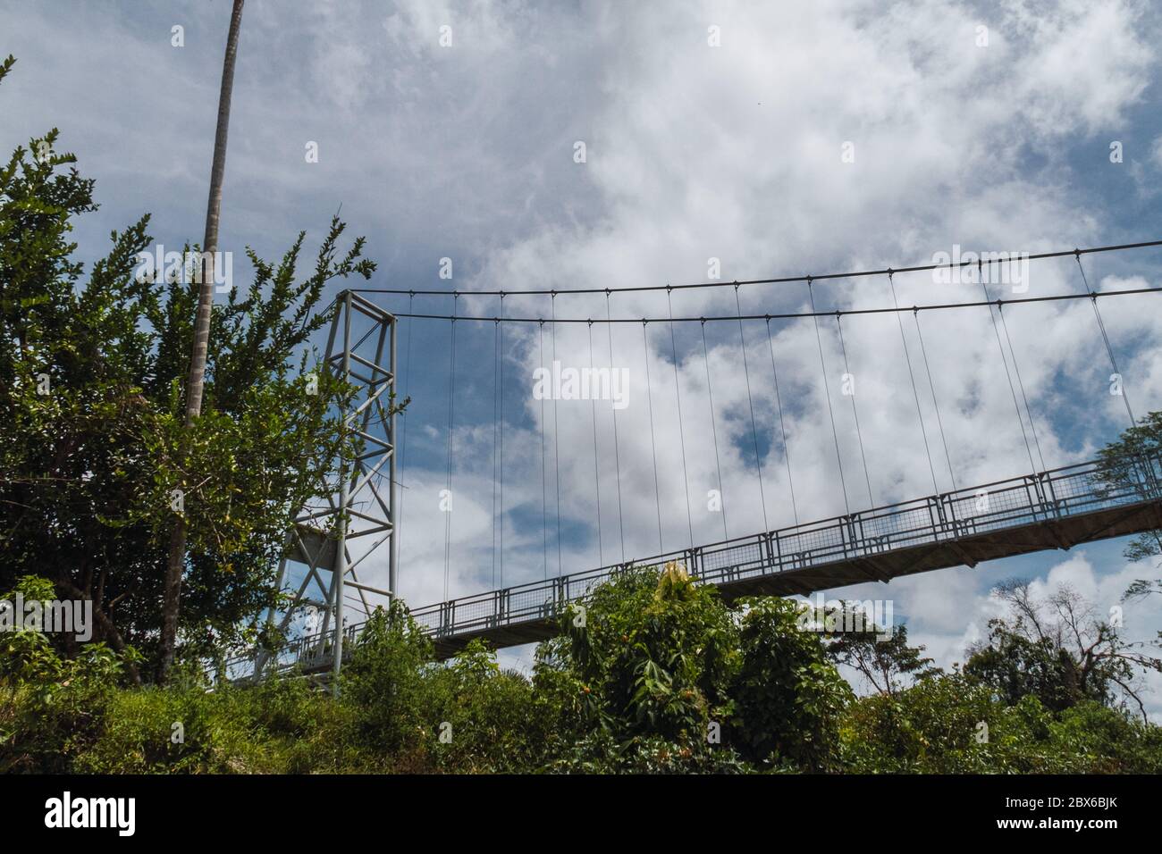 bridge over the river in the amazon, metal structure, large bridges ...