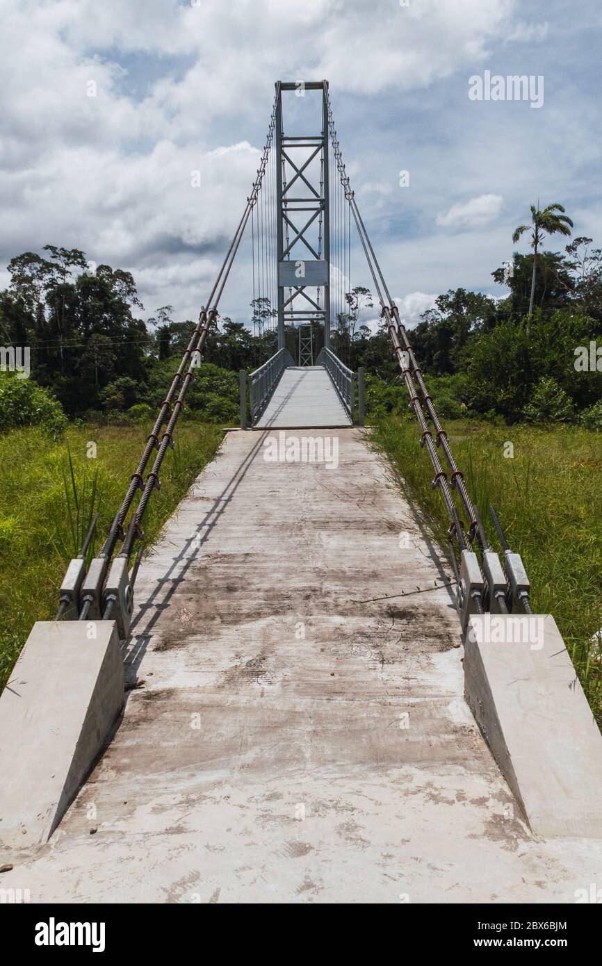 bridge over the river in the amazon, metal structure, large bridges ...