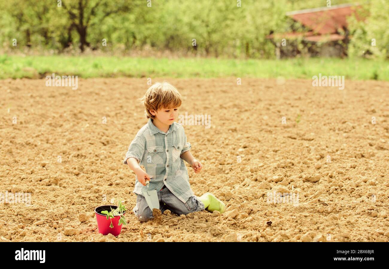 Planting in field. Little helper in garden. Boy sit on ground planting ...