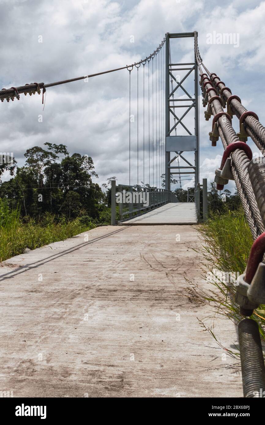 bridge over the river in the amazon, metal structure, large bridges ...