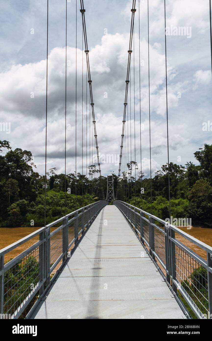 bridge over the river in the amazon, metal structure, large bridges ...