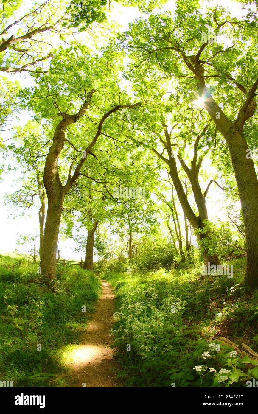 Adventure Kingdom High Resolution Stock Photography and Images - Alamy