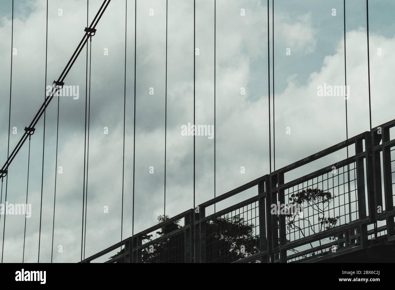 bridge over the river in the amazon, metal structure, large bridges ...