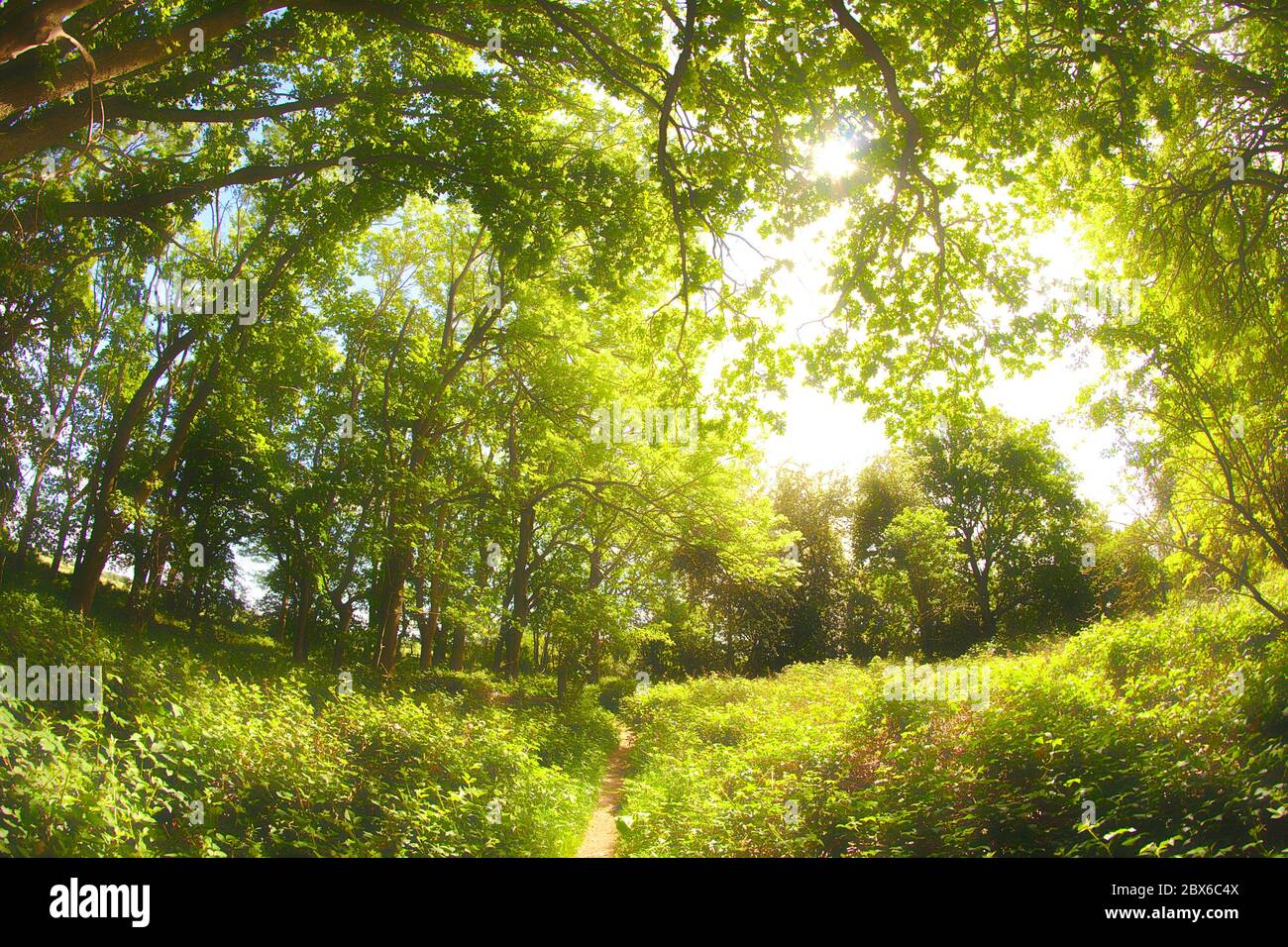 Adventure Kingdom High Resolution Stock Photography and Images - Alamy