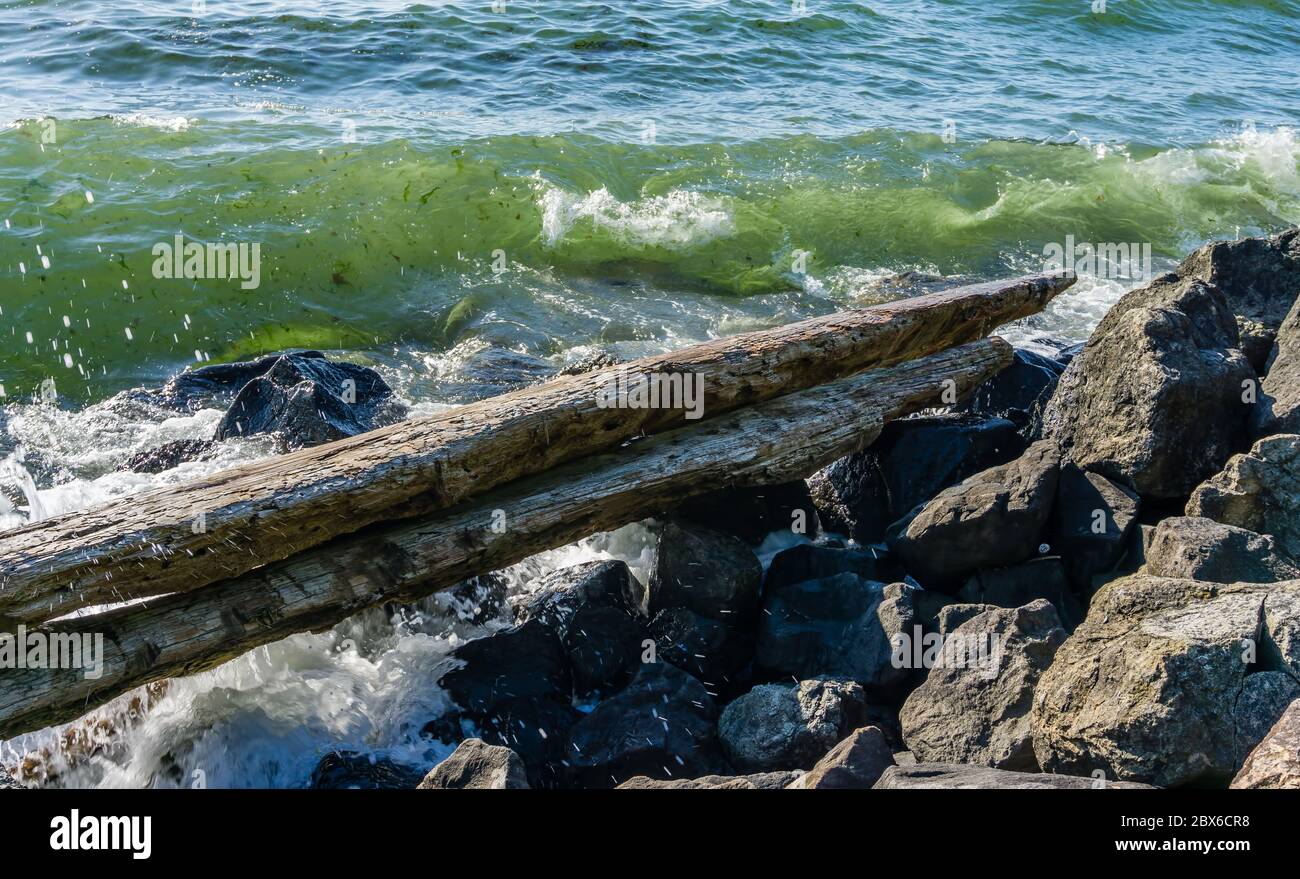 Waves hit a log and rocks in the Pacific Northwest Stock Photo - Alamy